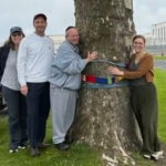 Create a Freedom Tree with Marius | anarchistnews.org